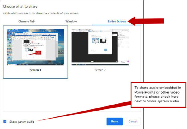 How to Share Content in Class Collaborate | UAMS Educational Development